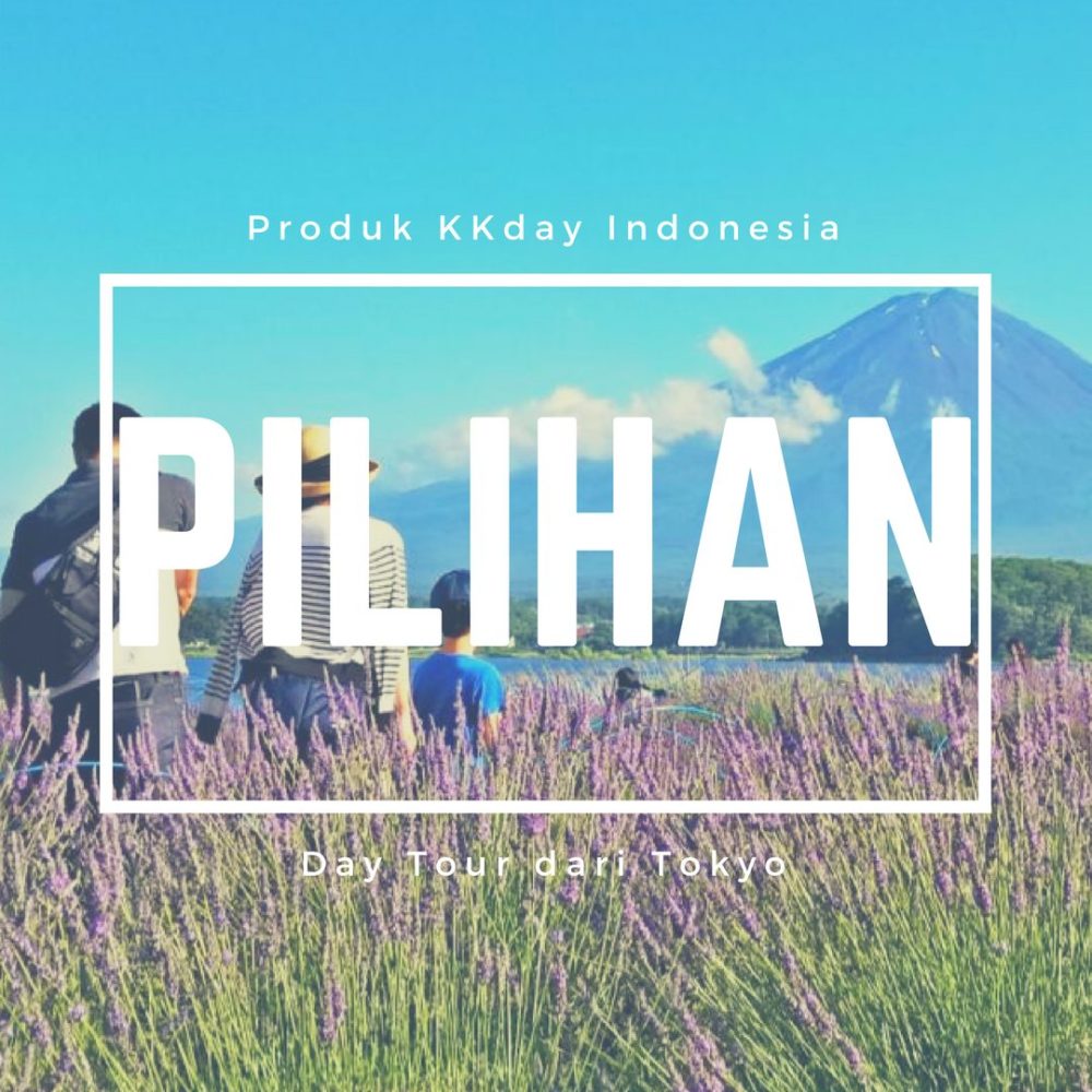 Perjalanan ke Gunung Fuji, Gotemba Outlet dan Lake Kawaguchi Dalam Satu Paket Wisata Tokyo ...