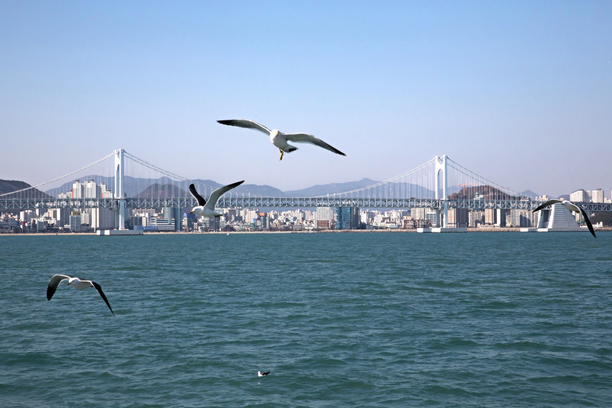 【2025】釜山のBTS聖地巡礼ツアーを徹底解説！行きつけのカフェや市場も紹介