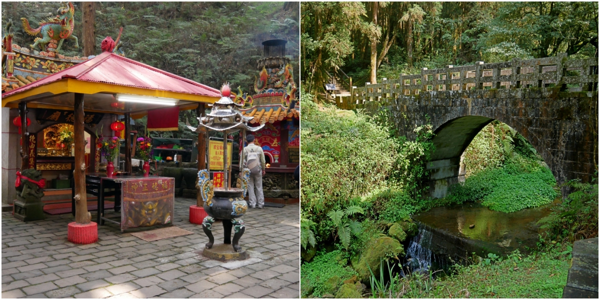 【台湾】阿里山の大自然を満喫！ツアー体験レポ