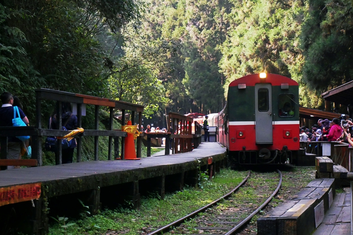 【台湾】阿里山の大自然を満喫！ツアー体験レポ