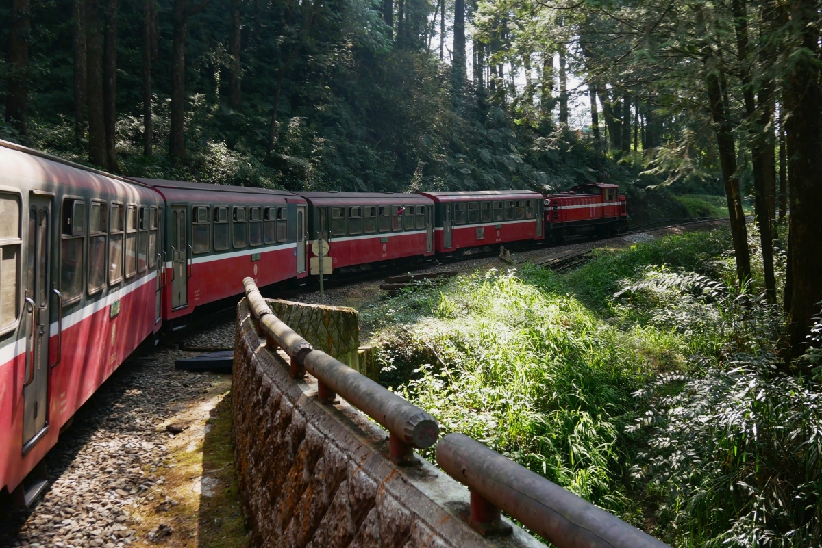 【台湾】阿里山の大自然を満喫！ツアー体験レポ