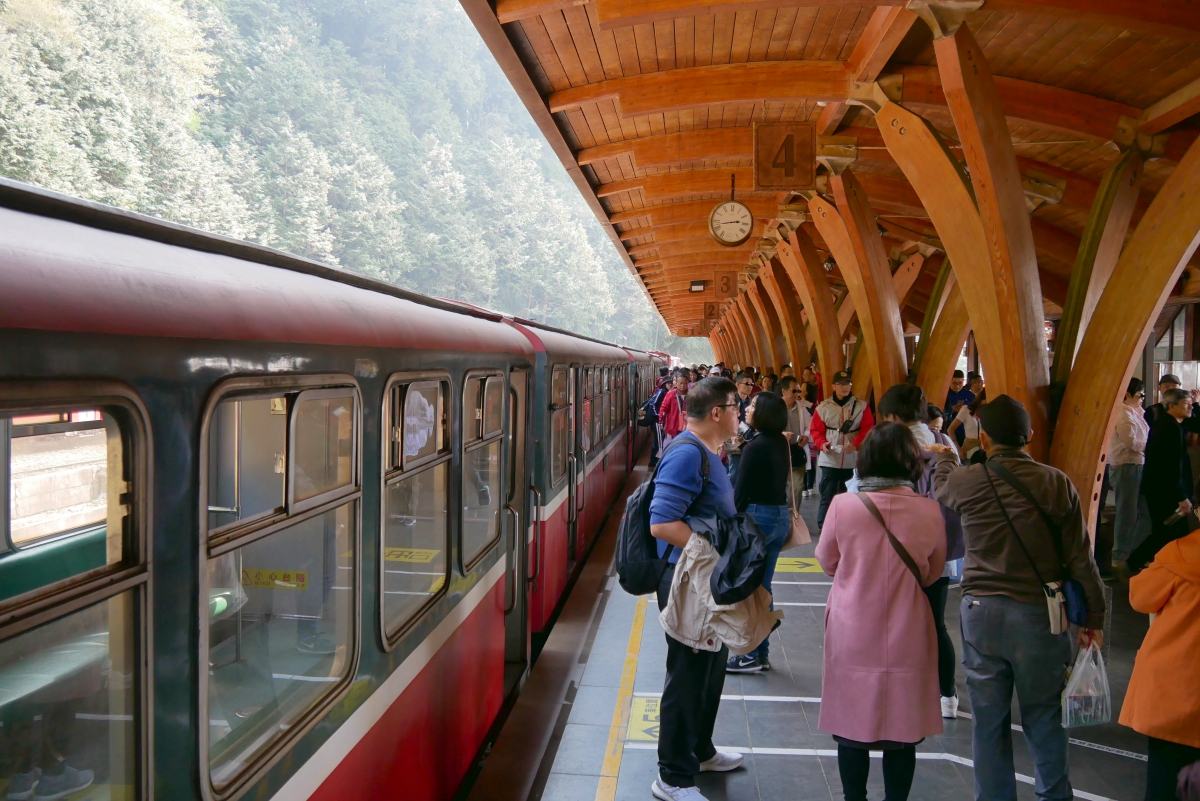 【台湾】阿里山の大自然を満喫！ツアー体験レポ