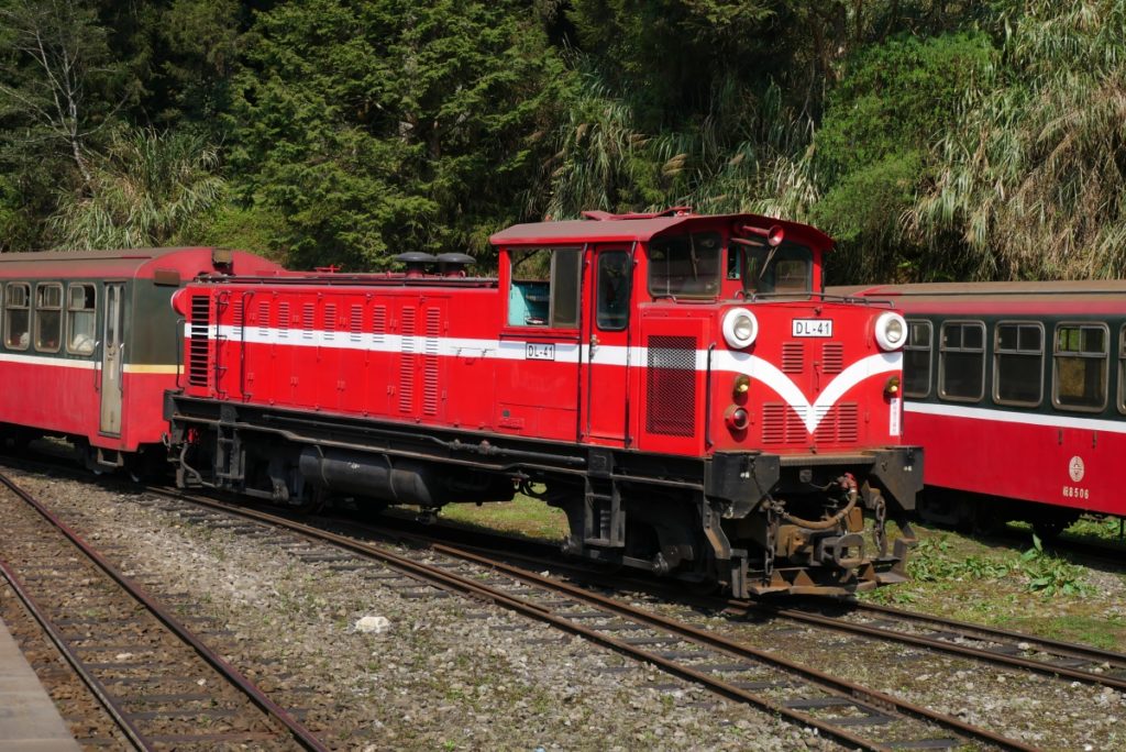 【台湾】阿里山の大自然を満喫！ツアー体験レポ