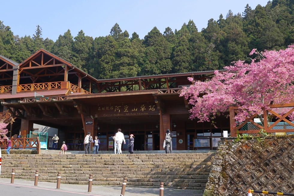【台湾】阿里山の大自然を満喫！ツアー体験レポ