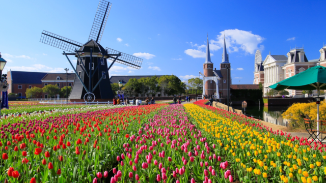 【2025】韓国空港鉄道「AREX」は予約が必要？料金・割引チケットの買い方ガイド