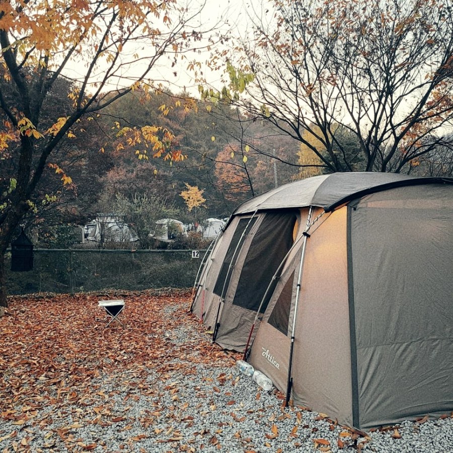 서울에서 1시간! 취사가능 수영장 추천 BEST 4 - KKday Korea 공식 블로그