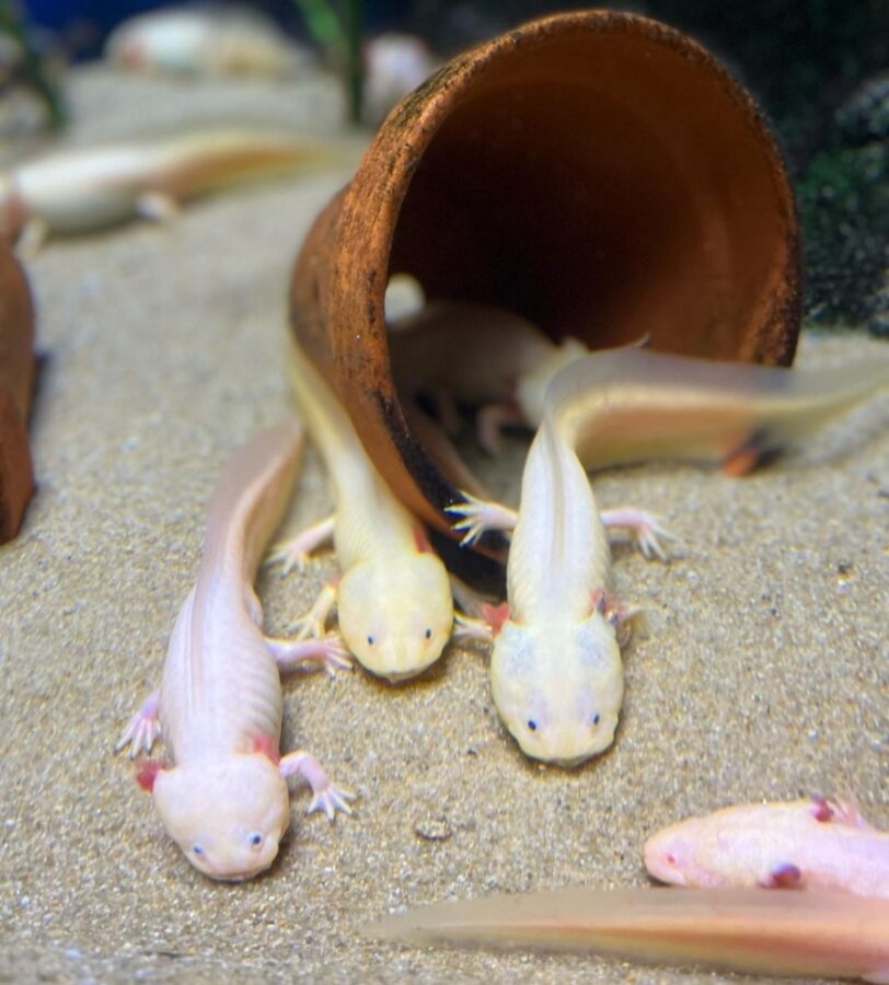 국내 아쿠아리움 추천 BEST 4 - KKday Korea 공식 블로그