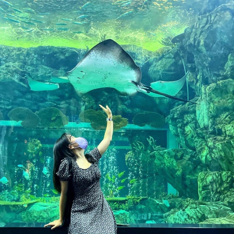 국내 아쿠아리움 추천 BEST 4 - KKday Korea 공식 블로그