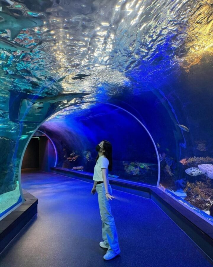 국내 아쿠아리움 추천 BEST 4 - KKday Korea 공식 블로그