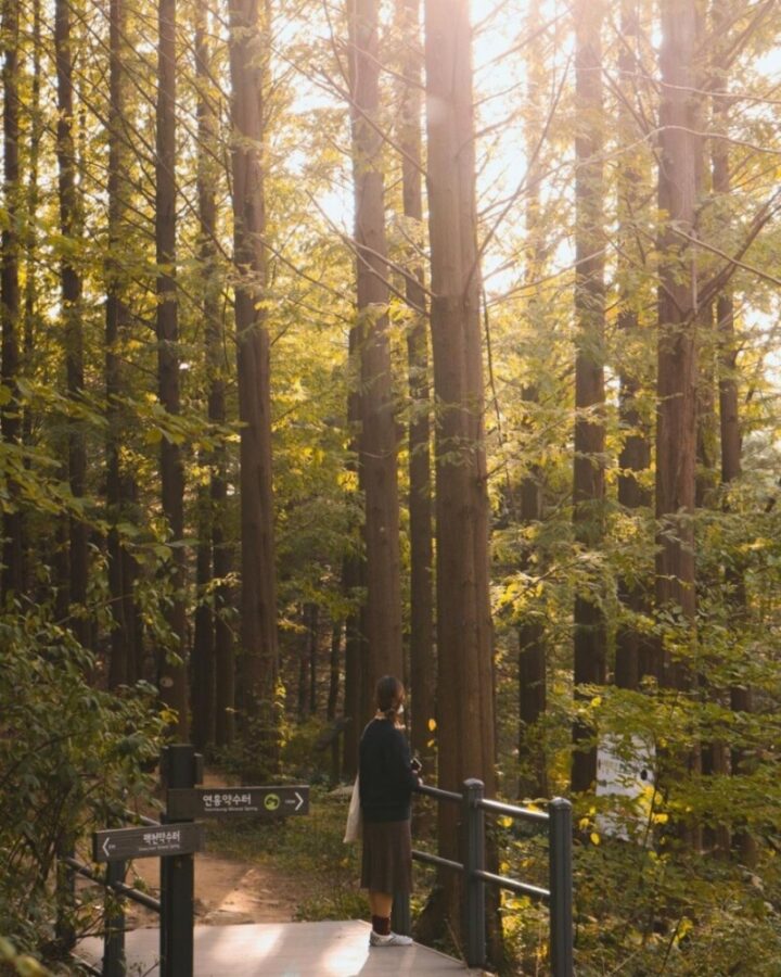 가을 가족 나들이 명소 BEST 4 - KKday Korea 공식 블로그