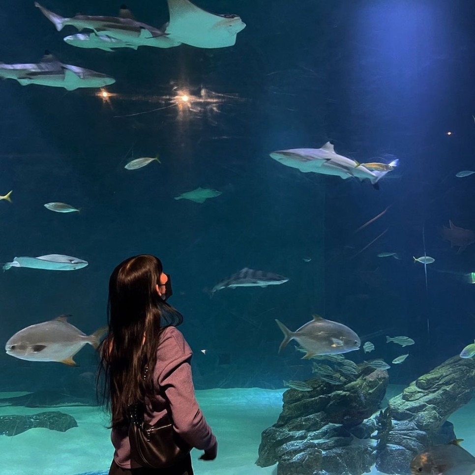 겨울 실내 가볼만한 곳 BEST 4 - KKday Korea 공식 블로그