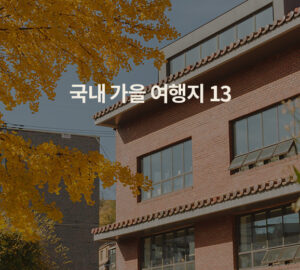 가을 액티비티 여행 추천 BEST 4 - KKday Korea 공식 블로그