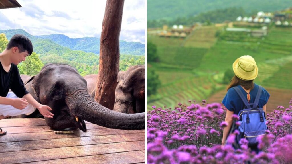 ปักหมุดที่เที่ยว วันหยุด 2568 เตรียมแพลนวันลา หาที่เที่ยววันหยุดยาวกัน! - KKday Thailand Blog