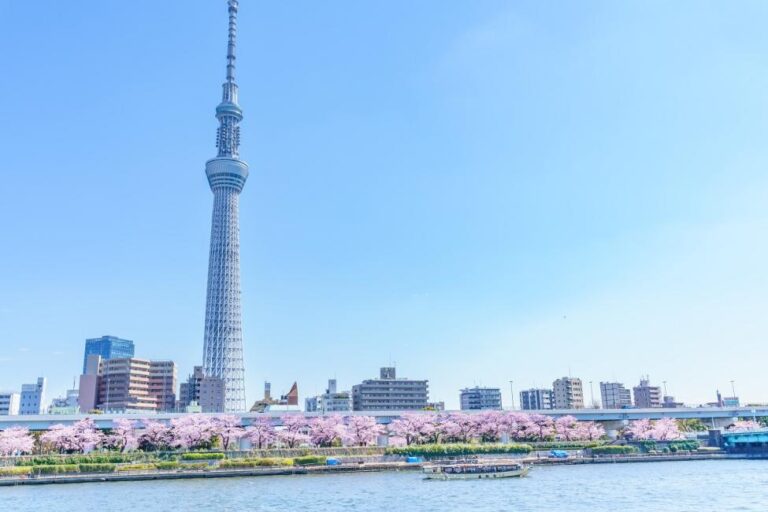 อัปเดต 7 จุดชมซากุระโตเกียว 2025 เดินเล่นชิลล์ๆ ชมวิวเมืองหลวงสีชมพู ( Tokyo Sakura 2025 ...