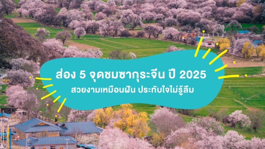 ส่อง 5 จุดชม ซากุระจีน 2025 ดอกไม้สวยตะโกน ประทับใจไม่รู้ลืม ( China ...