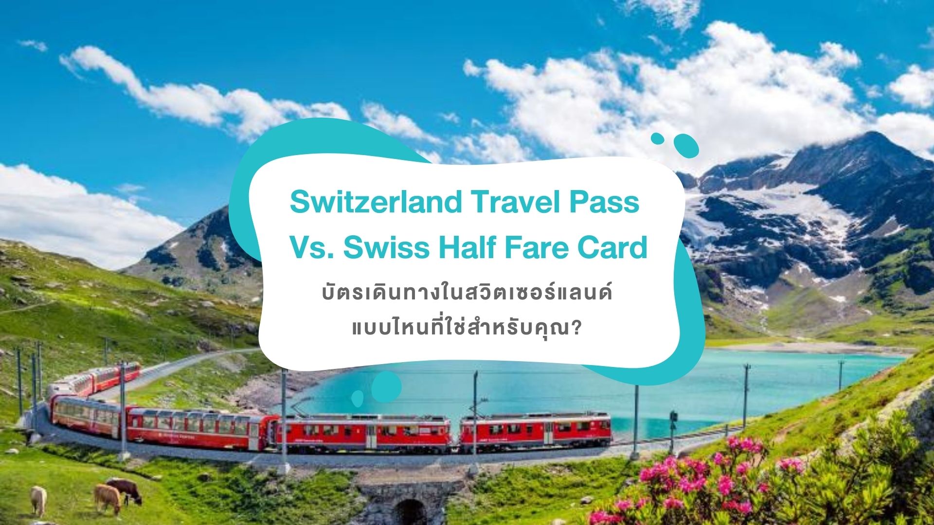 สวิสพาส ( Switzerland Travel Pass ) Vs. Swiss Half Fare Card บัตร ...