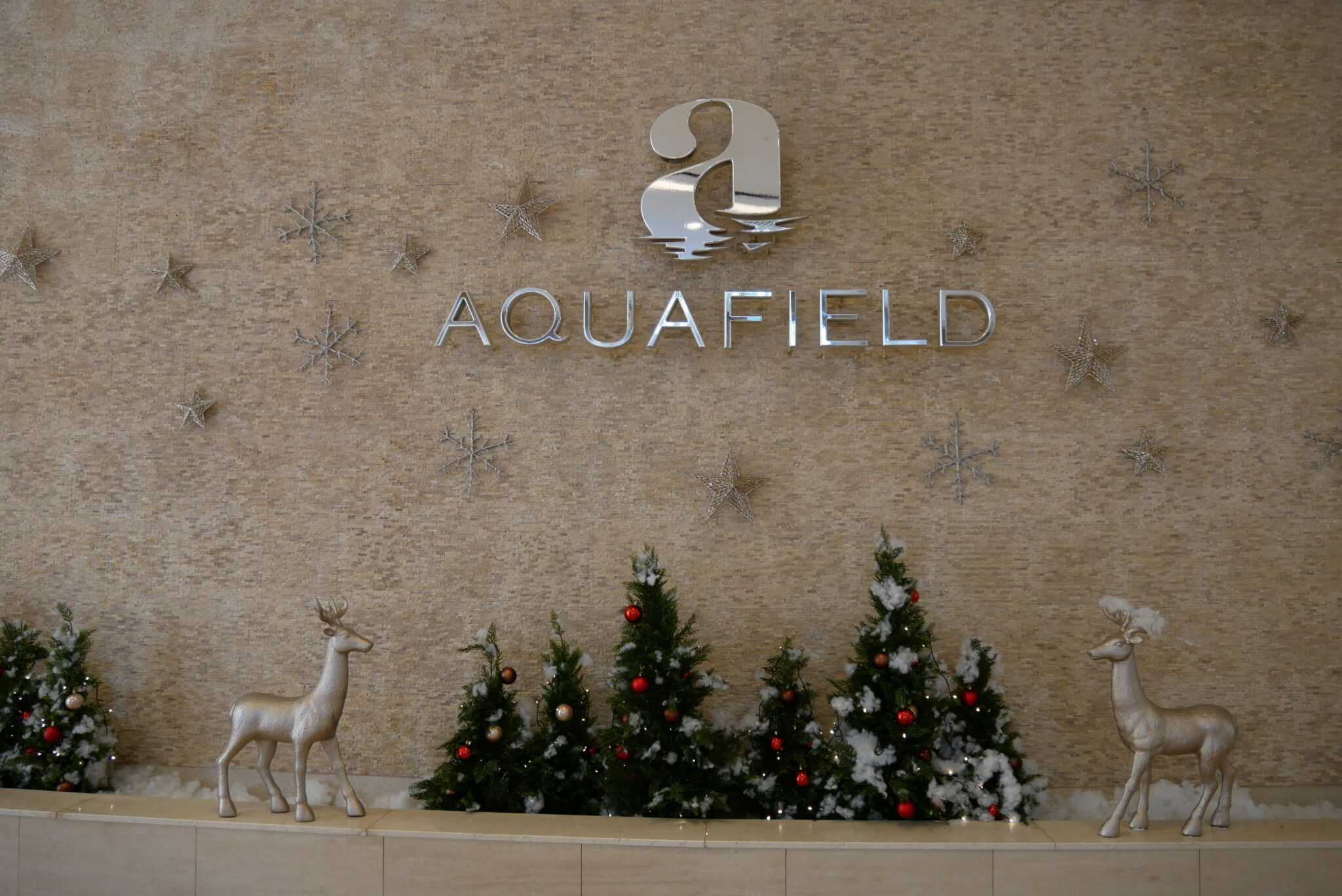 【韓國】京畿道五星級汗蒸幕體驗｜高陽AQUAFIELD汗蒸幕全攻略（附周邊景點推薦）