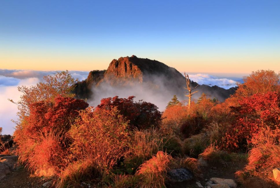 Busan Autumn Foliage Viewing Spots 2024: Locations and Tours - KKday Blog