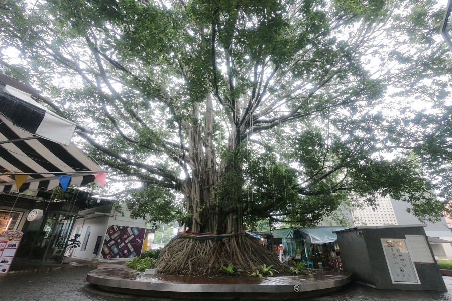 【清邁】尼曼路逛街攻略！Maya百貨、One Nimman、Think Park和尼曼路小店介紹，清邁逛街另類選擇！