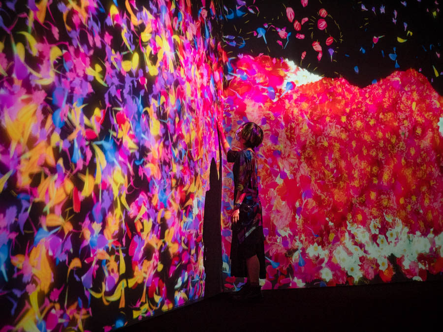 teamLab台北展開箱！2021未來遊樂園門票、網美打卡9大展區、親子一日遊推薦