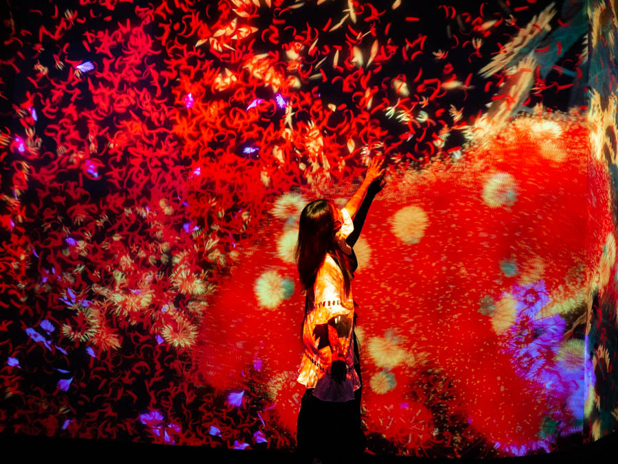 teamLab台北展開箱！2021未來遊樂園門票、網美打卡9大展區、親子一日遊推薦