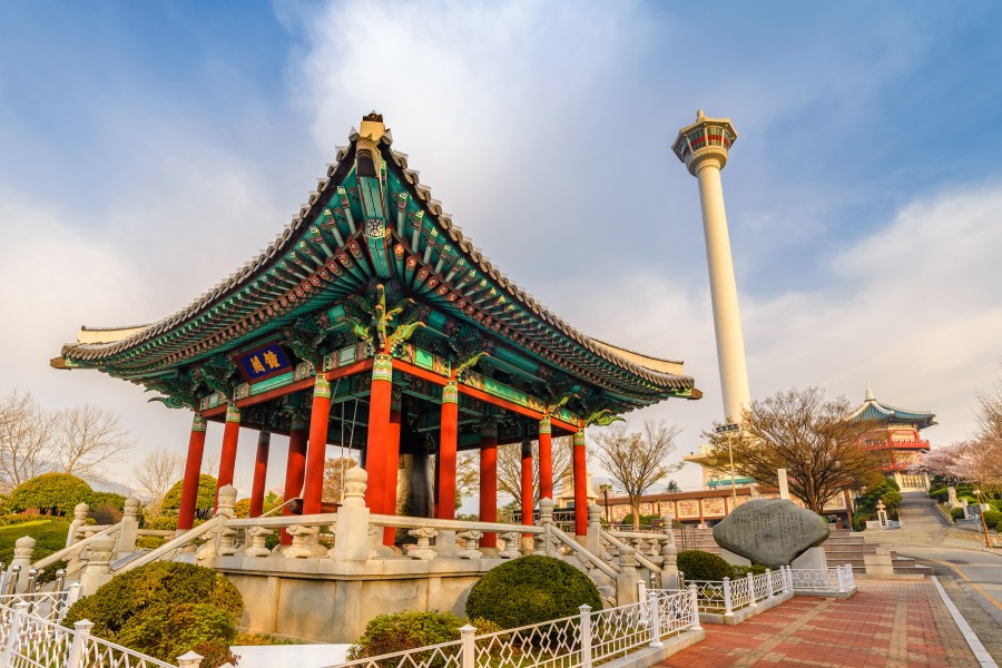 Busan Autumn Foliage Viewing Spots 2024: Locations and Tours - KKday Blog