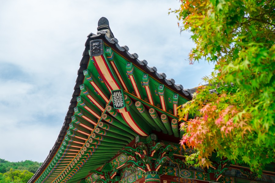 Busan Autumn Foliage Viewing Spots 2024: Locations and Tours - KKday Blog